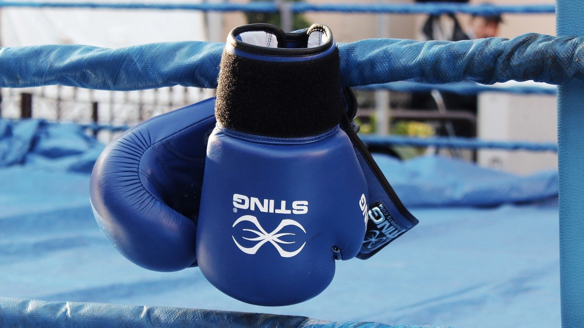 Équipements de boxe : les indispensables ! – teamdirectenergie.com